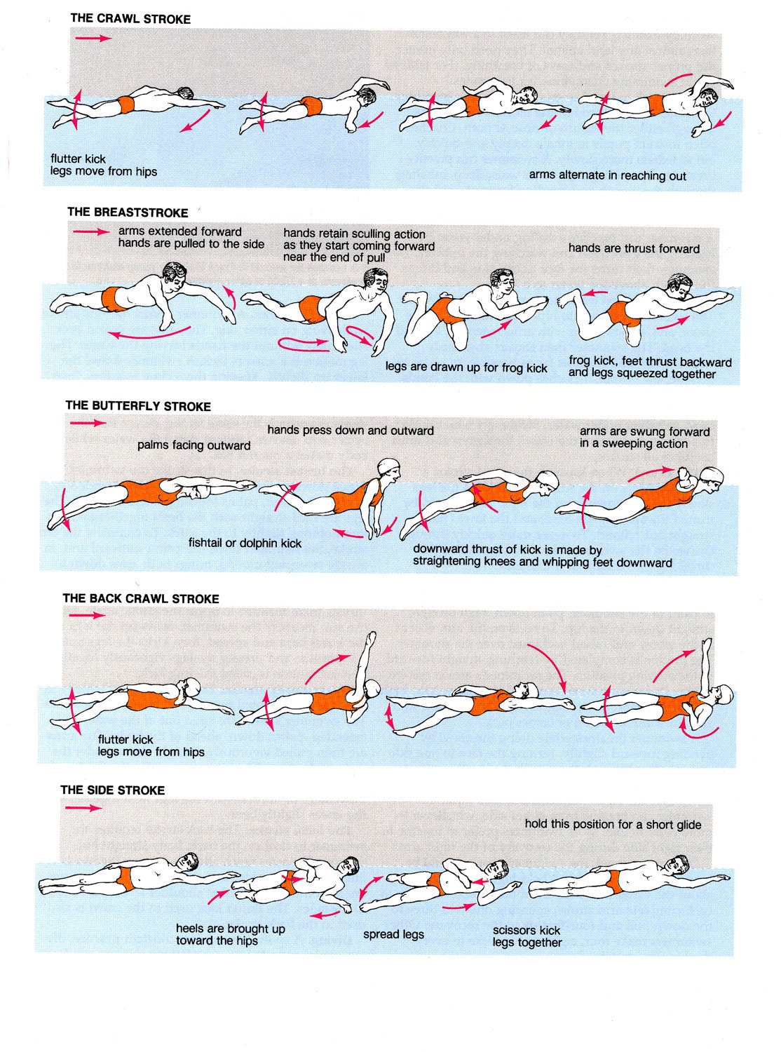 Swimming Facts