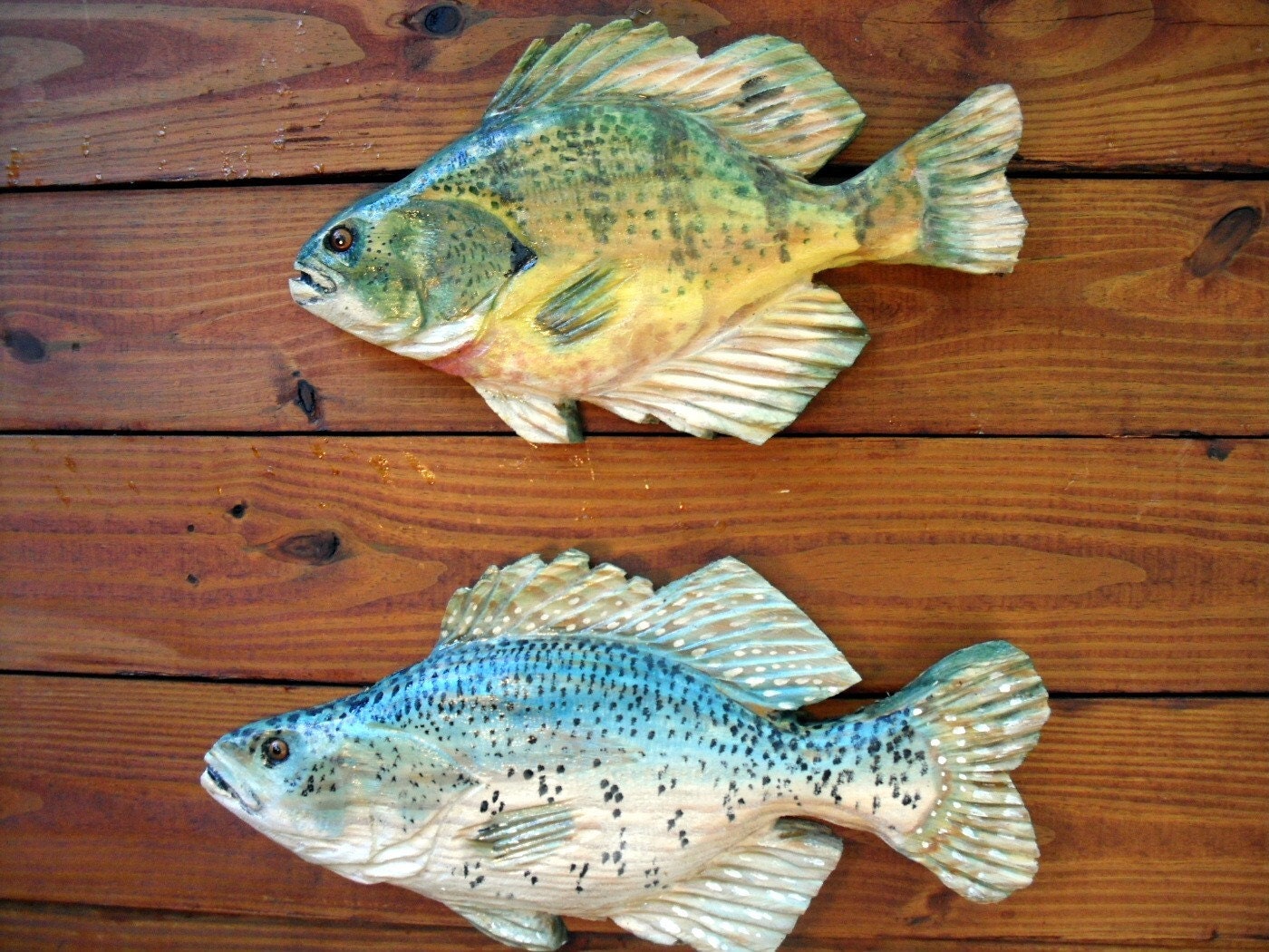 Trash Fish? - The Foods of the World Forum - Page 2