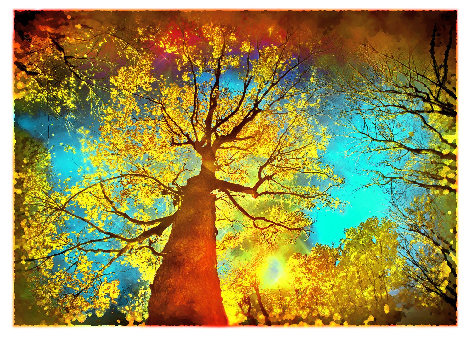 The Trouble Tree – cocoloids©