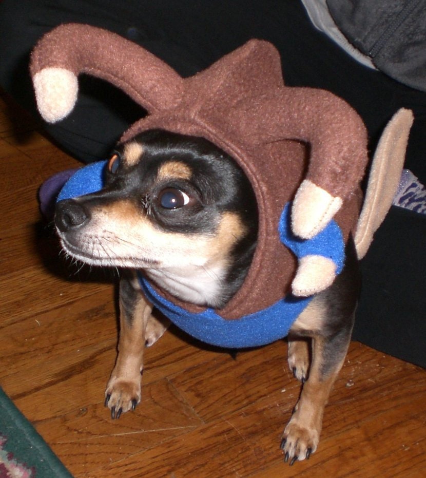 It's a dogling! Zergling dog hoodie.
